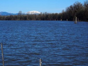 Nearby St. Helens Marina: Coon Island - St. Helens Marina